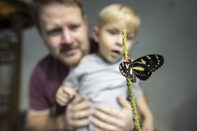 Audubon Nature Institute 2019 Spring/Summer Schedule Begins