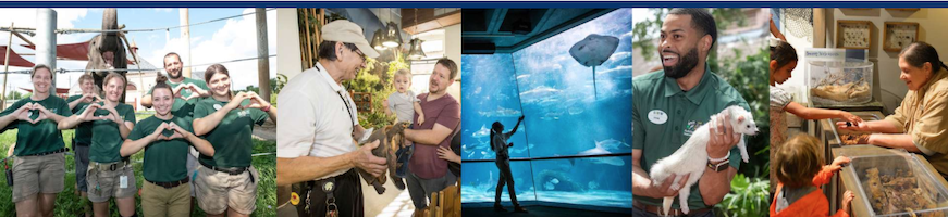 Audubon Nature Institute Projecting to Lose $21 million During COVID-19 ...