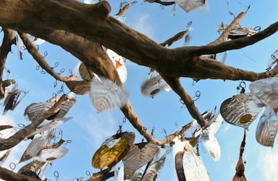 Cultural Traditions: Dutch Wishing Trees