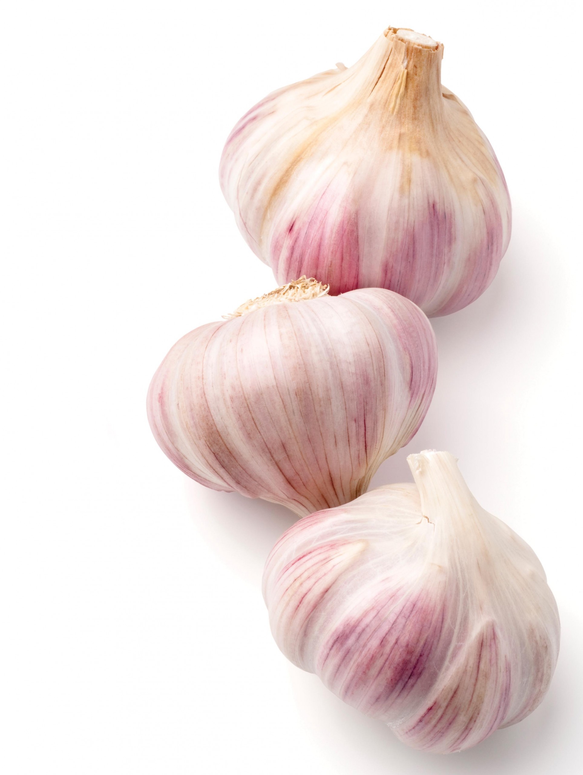 Home Grown | Garlic