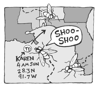 In Search of a Shoo-Shoo