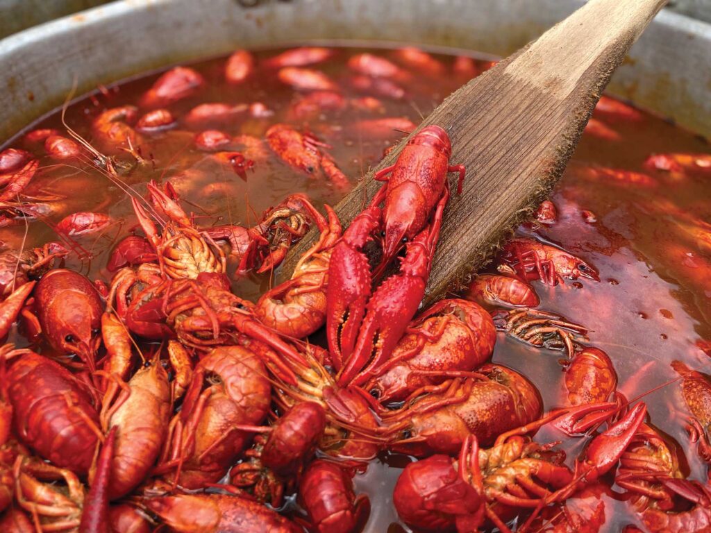 How to Host: Mother's Day