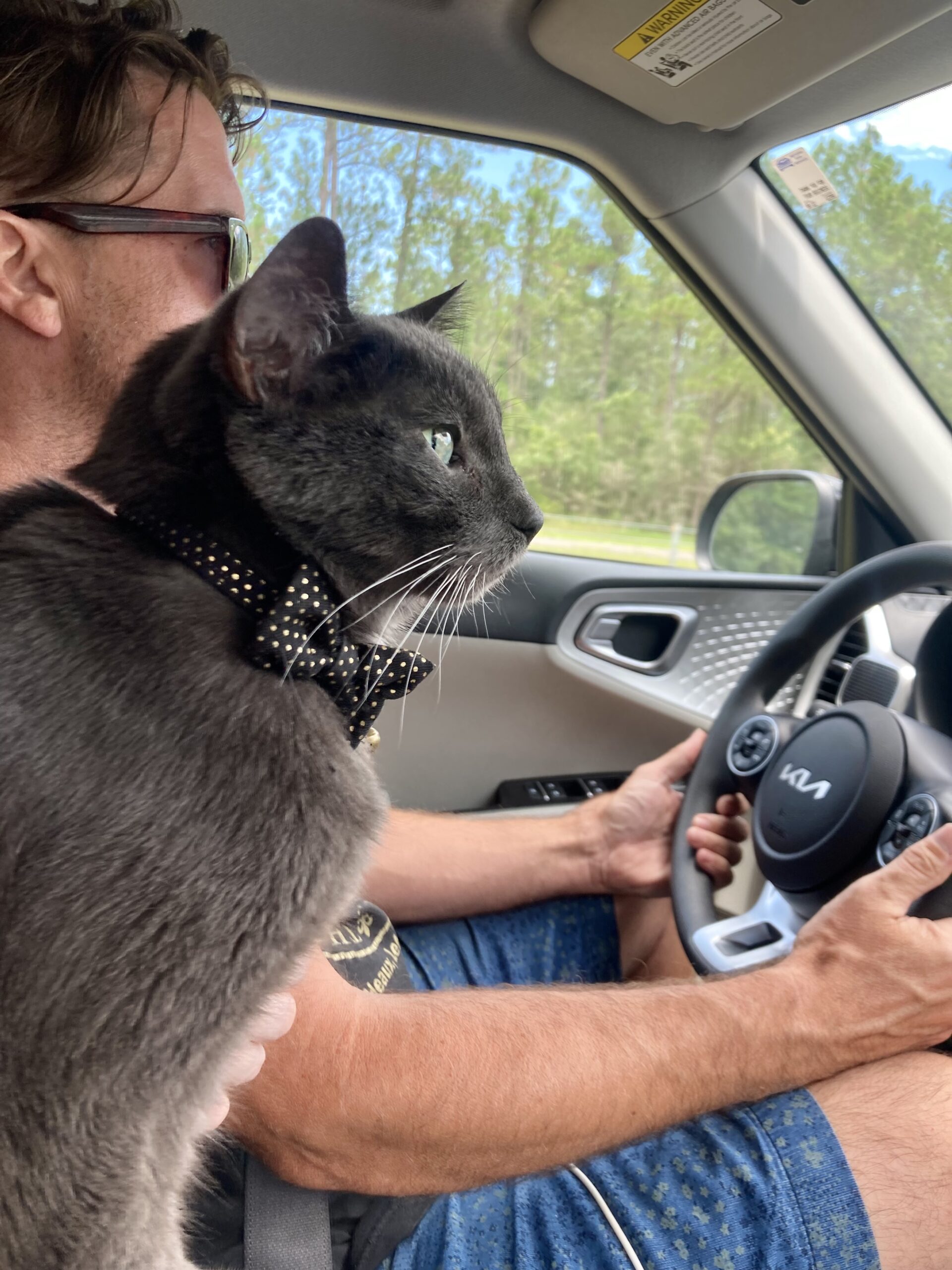 Nifty Cat Travel Products