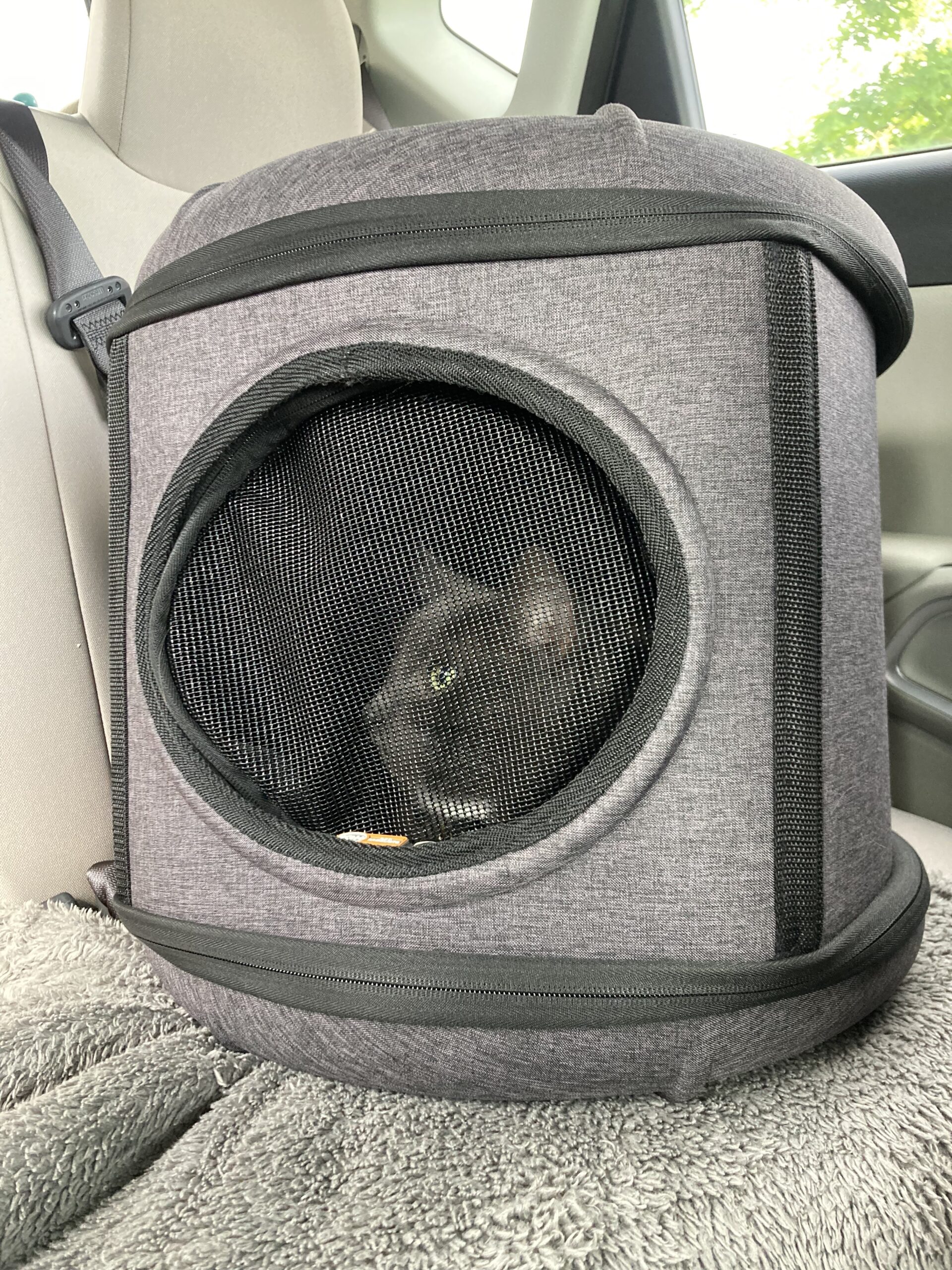 Nifty Cat Travel Products